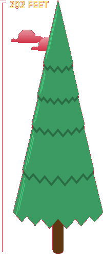 Christmas Tree Facts and their Lifecycle
